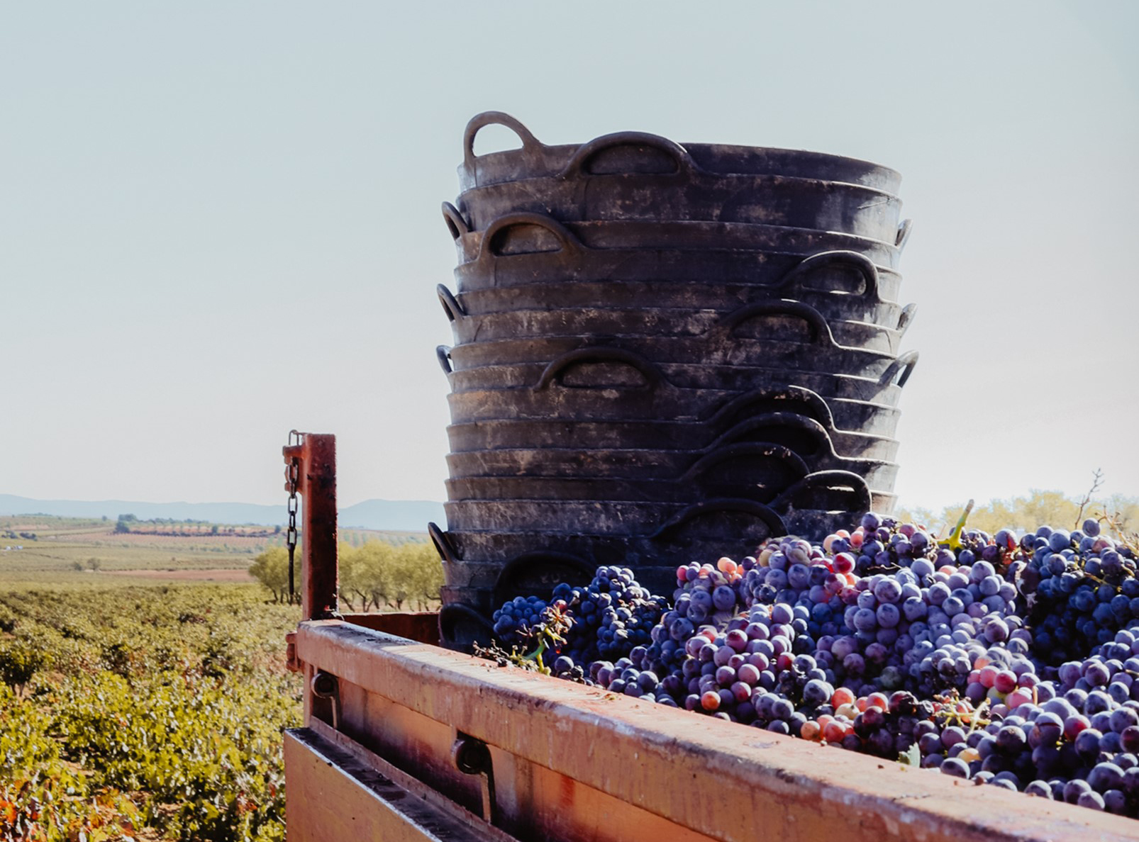 Bobal Wine Cellars consolida su internacionalización - Gaceta del Turismo